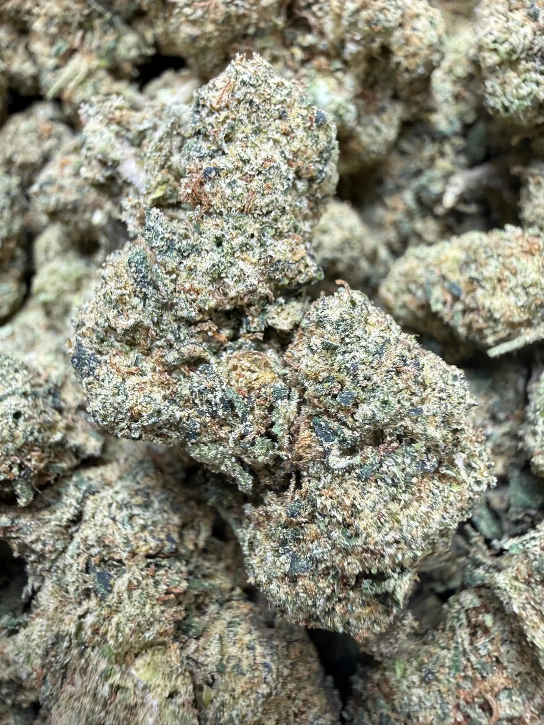 1/4 Pound THCA Flower For Sale | High-End Products With Amazing Prices ...