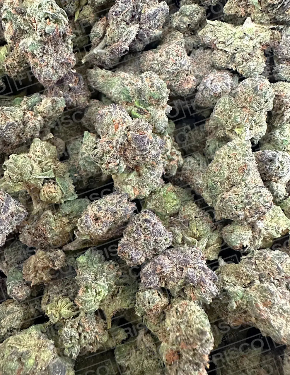 Runtz THCA Strain Flower For Sale | Frisco Labs Exclusive – Frisco Labs ...