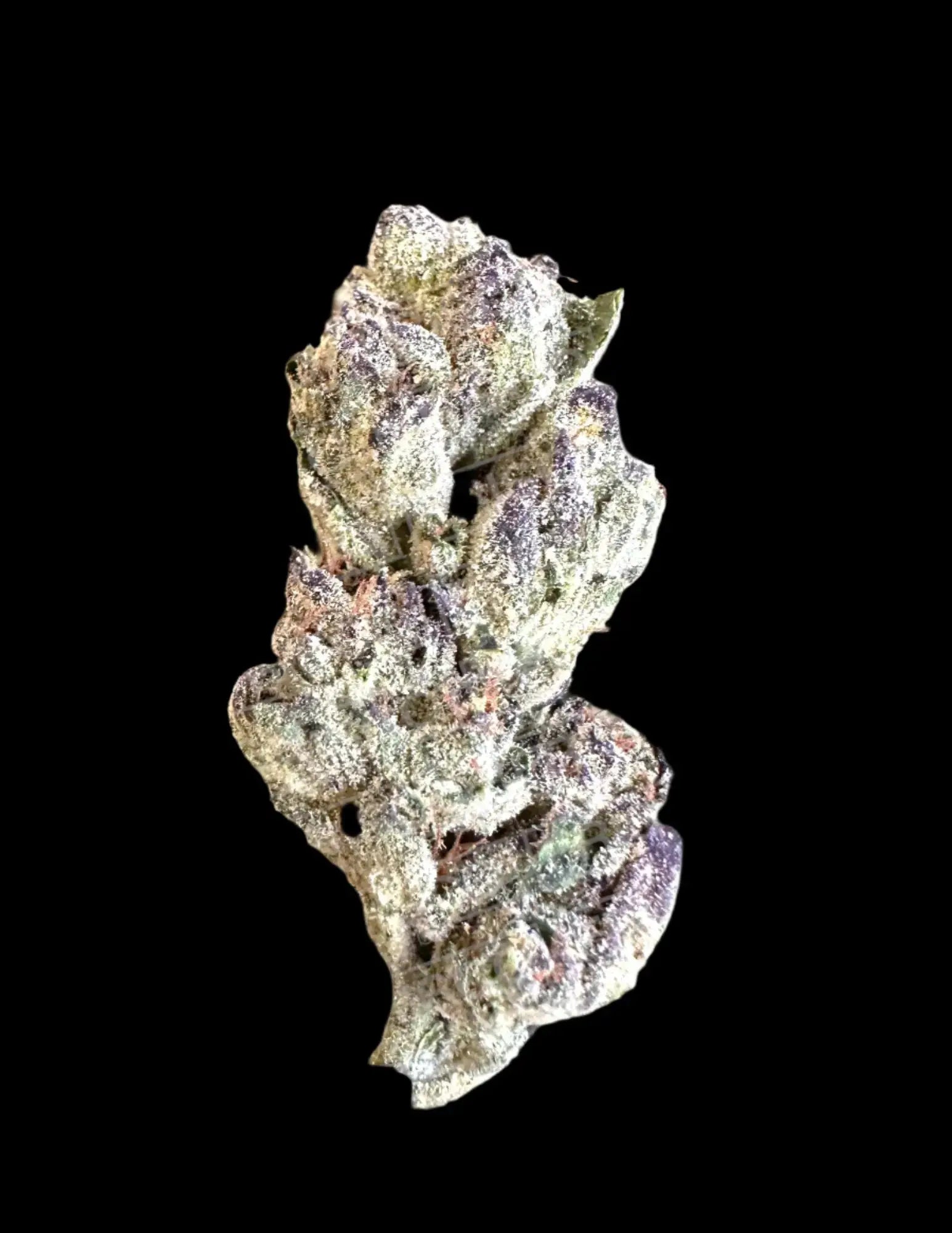 Sorbete exótico de California con THCA a la venta | Exclusivo de Frisco ...